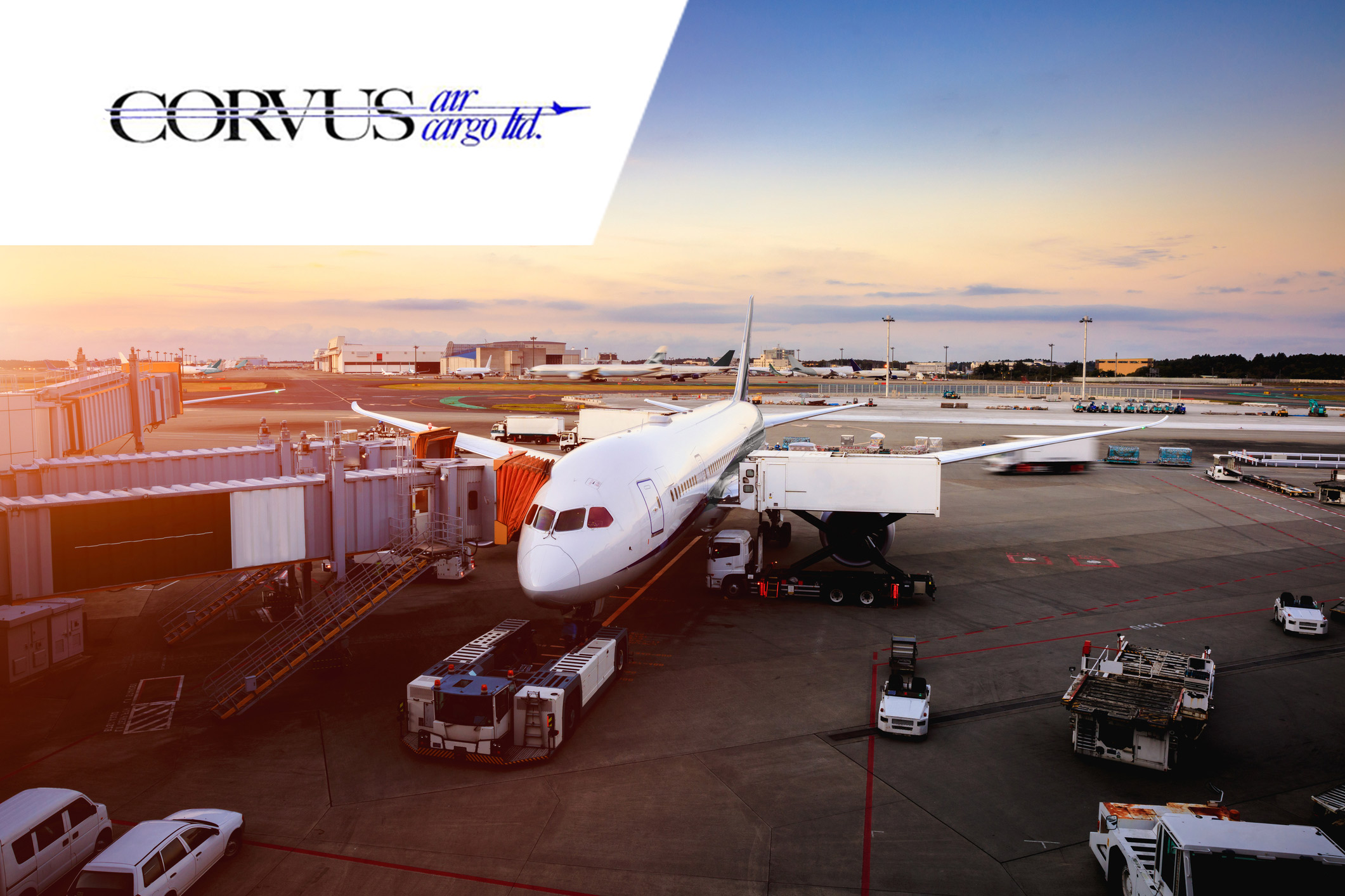 Case Studies | Corvus Air Cargo | VLT Logistics - Leeds, West Yorkshire, UK